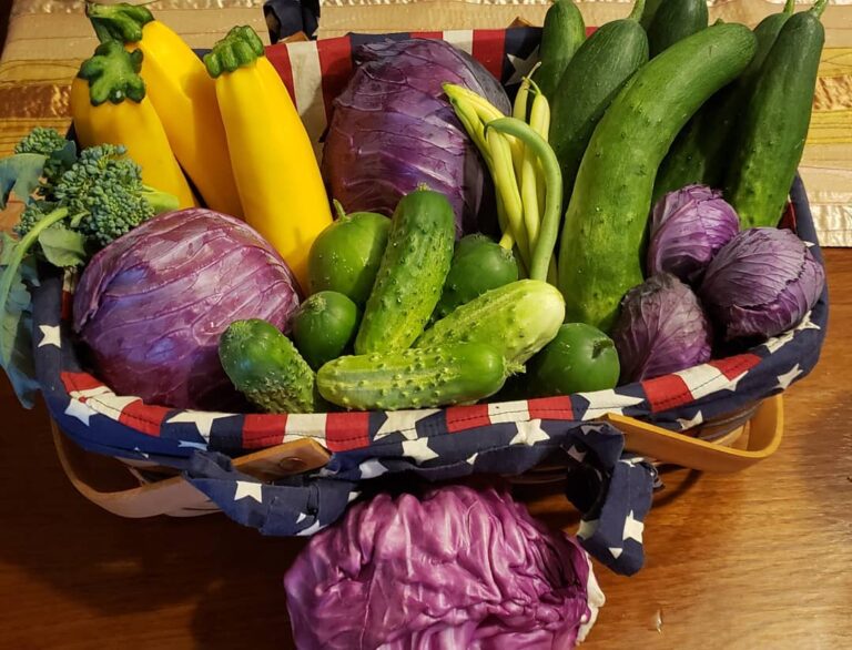 The 7 Essential Items You Need to Start Gardening - Green Pig Farm